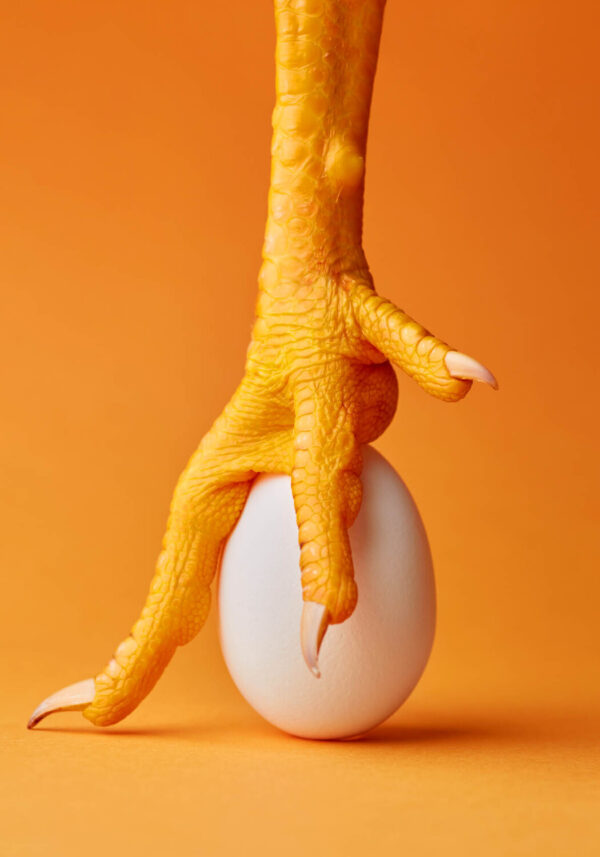 Daniel Pastor Valero – Visual Art Journal – Art Magazine