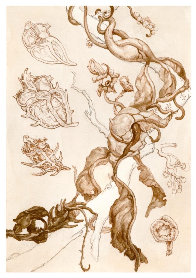 Qinyunyi Zhang (Yuii) – Visual Art Journal – Art Magazine