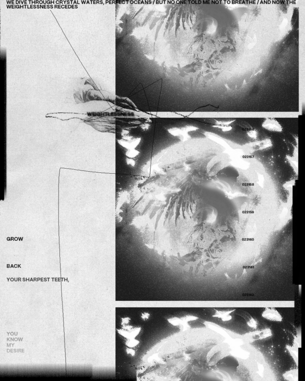 Zhihan Qian – Visual Art Journal – Art Magazine