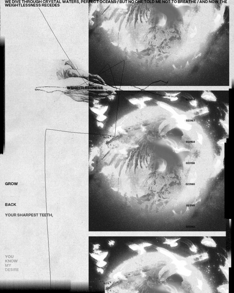 Zhihan Qian – Visual Art Journal – Art Magazine